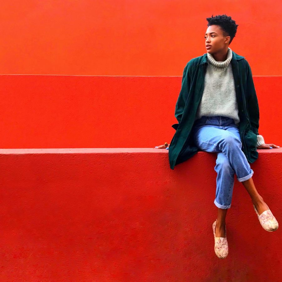 The different types of learners: Infographic - Dream-Do-Live-Love